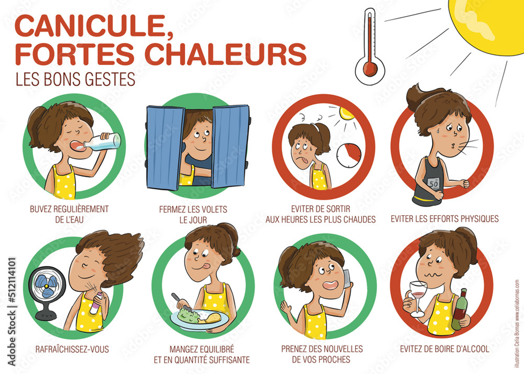 Canicule : prévention et actions coordonnées